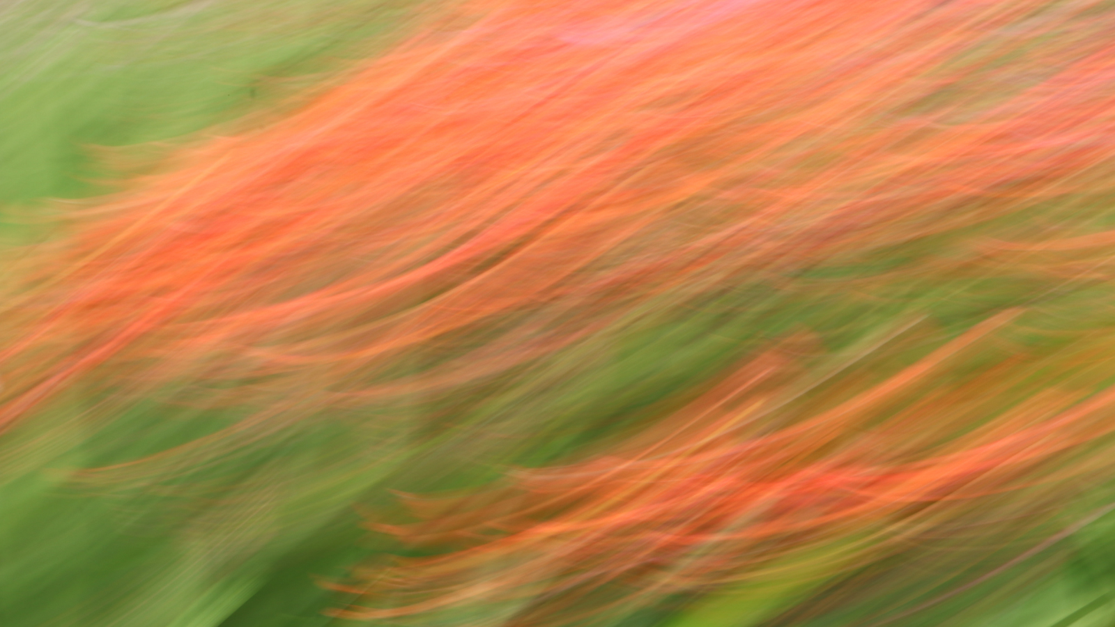 Climate Collaborative Carbon Clinics Graphic (1) - National Academy of ...