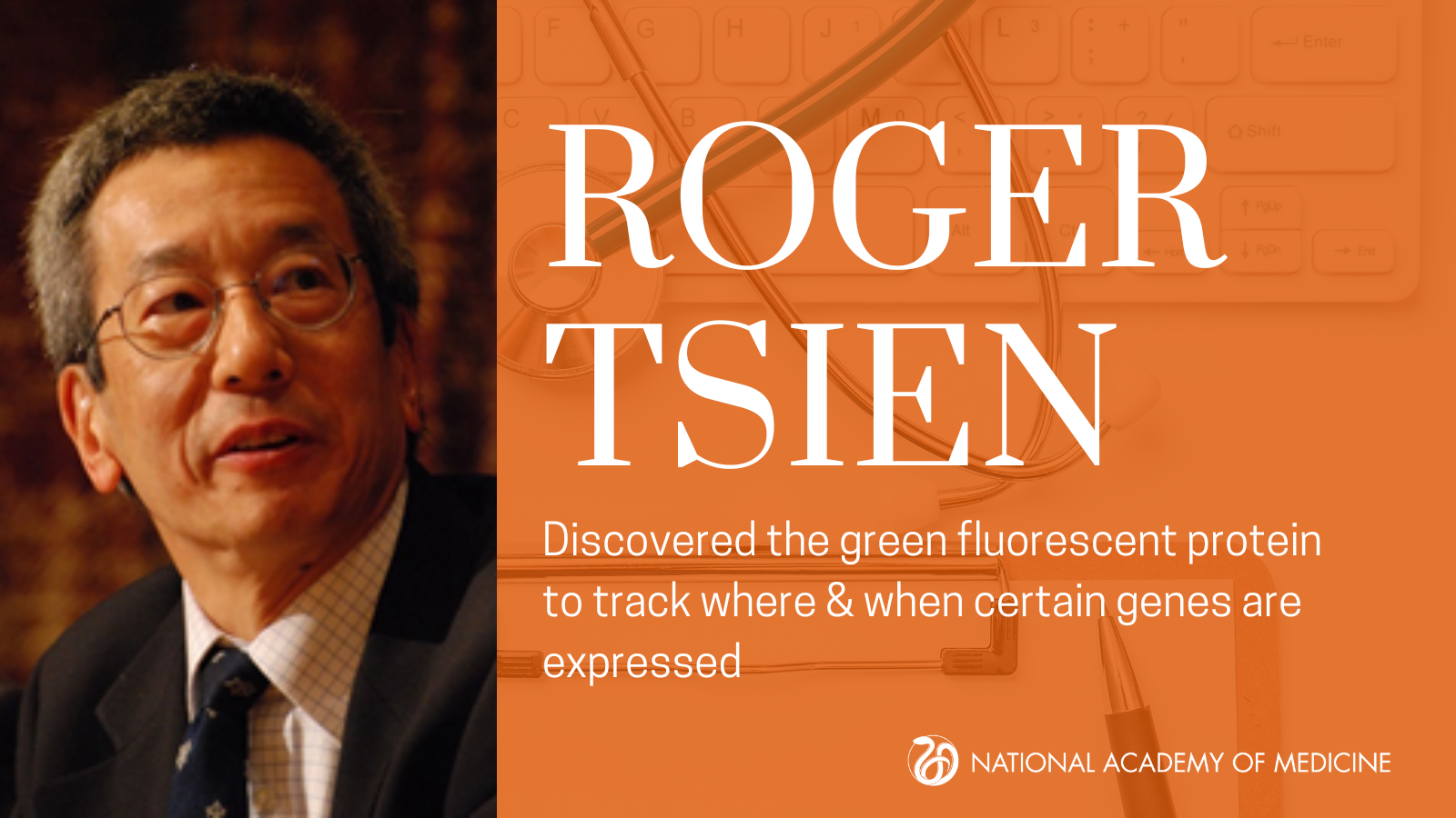 Asian American and Pacific Islander Heritage Month - NAM