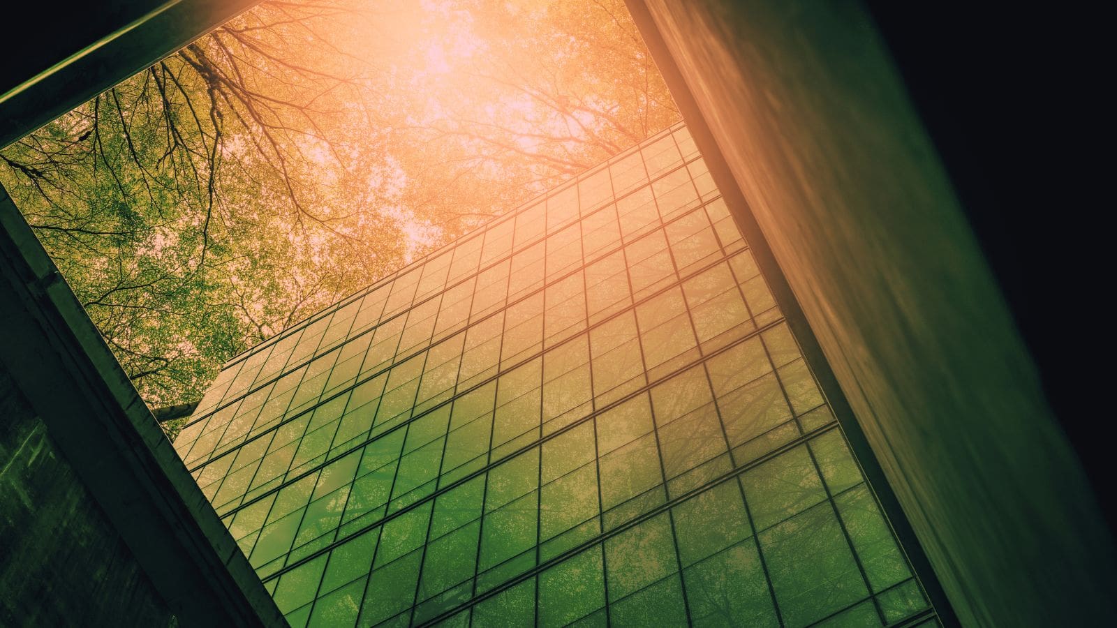 A Path Forward: Building Climate-Resilient Health Care at Every Level - NAM