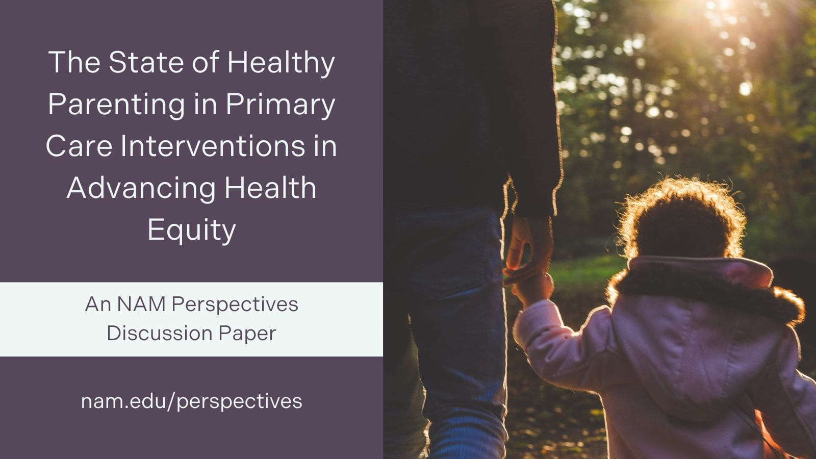 The State of Healthy Parenting in Primary Care Interventions in ...
