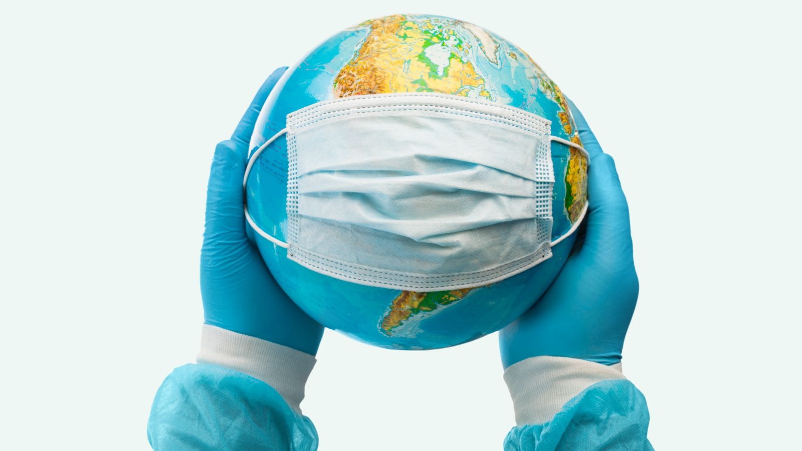 Pandemic Risk Assessment and its Intersection with Climate Change ...