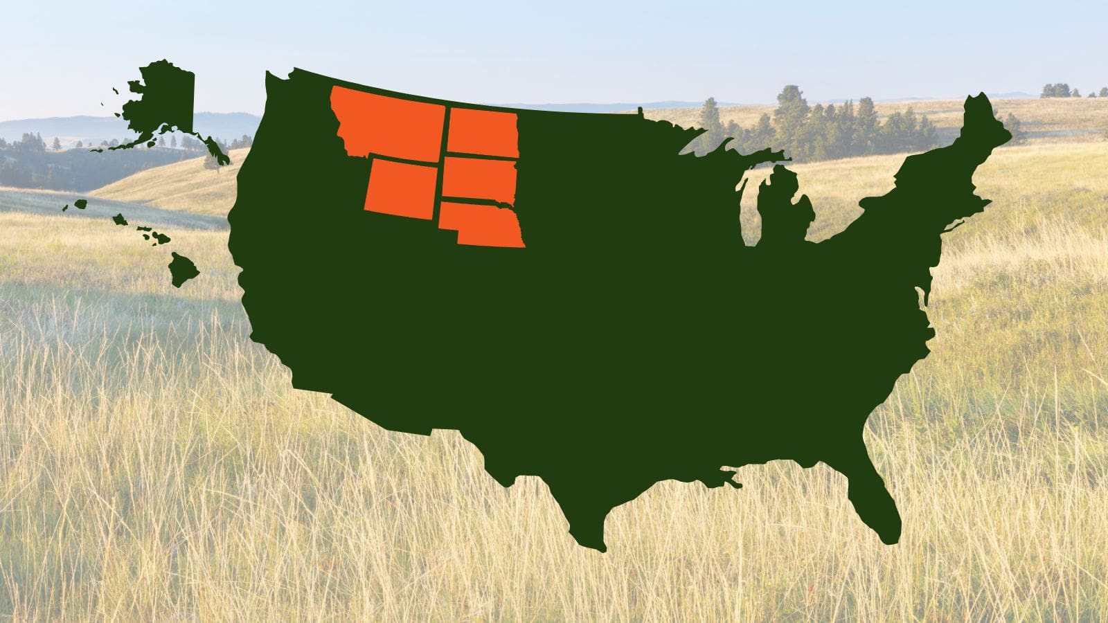 Climate and Health Learning Collaborative: Regional Webinar Series - NAM