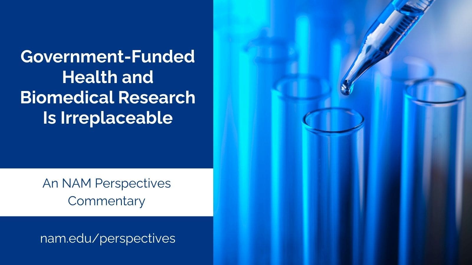 Government-Funded Health and Biomedical Research Is Irreplaceable - NAM